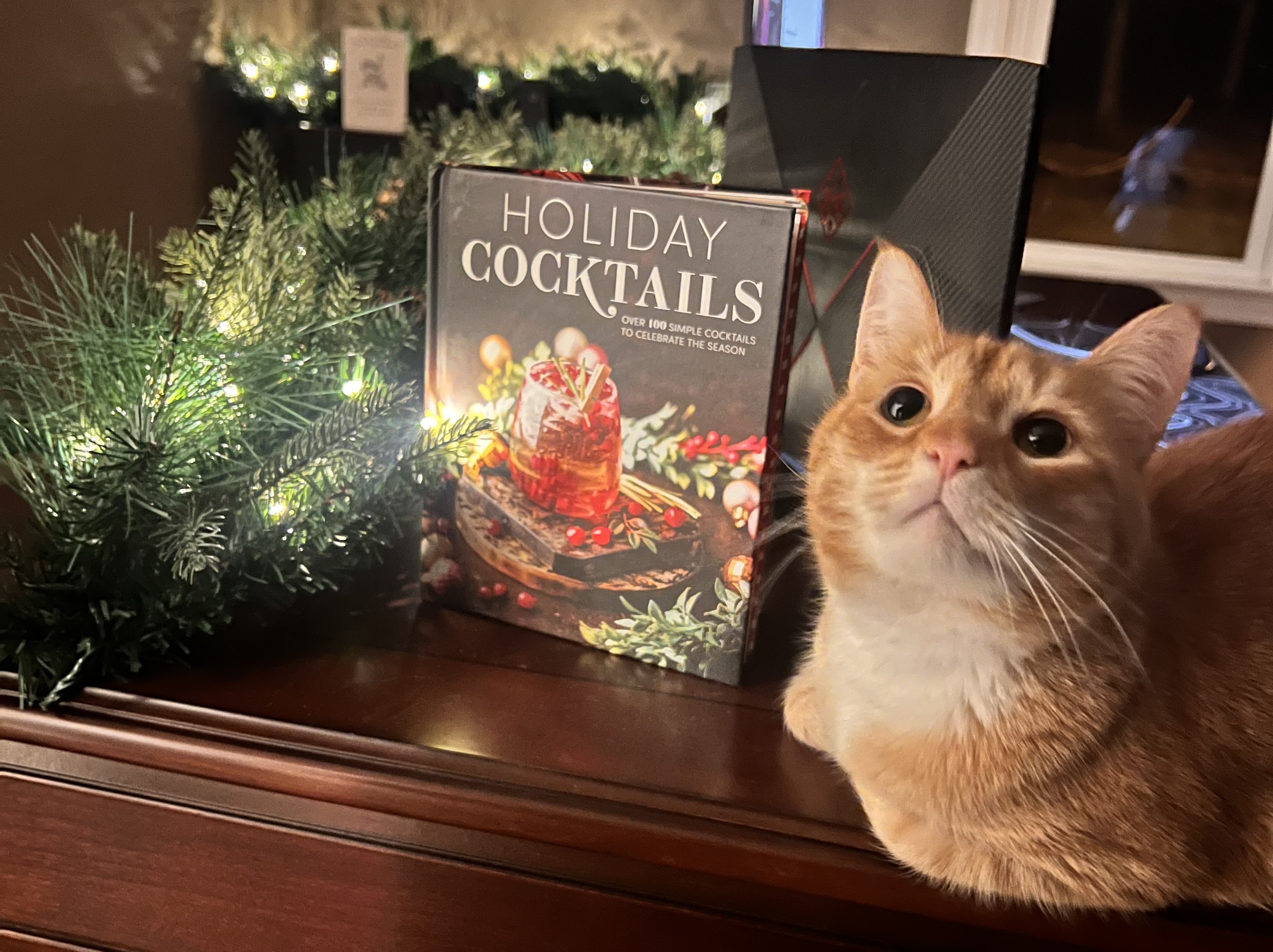 Talon's Cocktail Bar